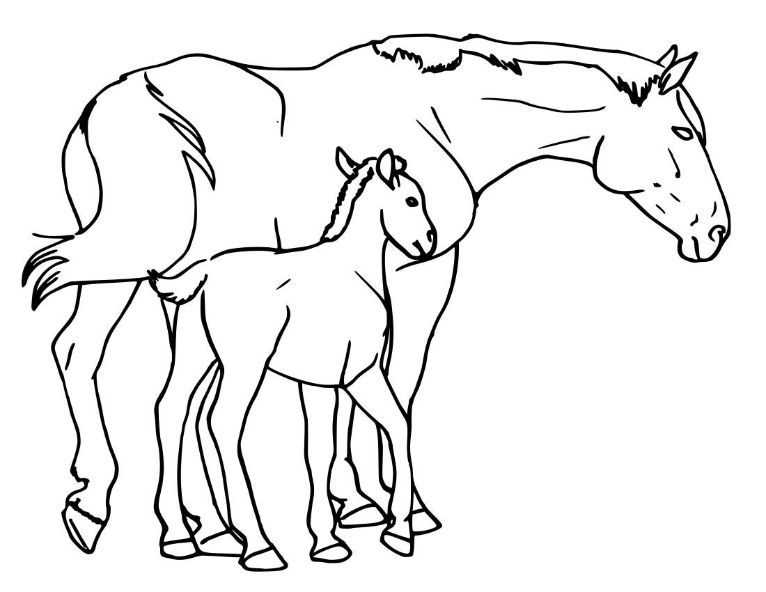 Foal PNG Black And White, Horse Mare And Foal - (65.49 Kb) Free PNG | HDPng